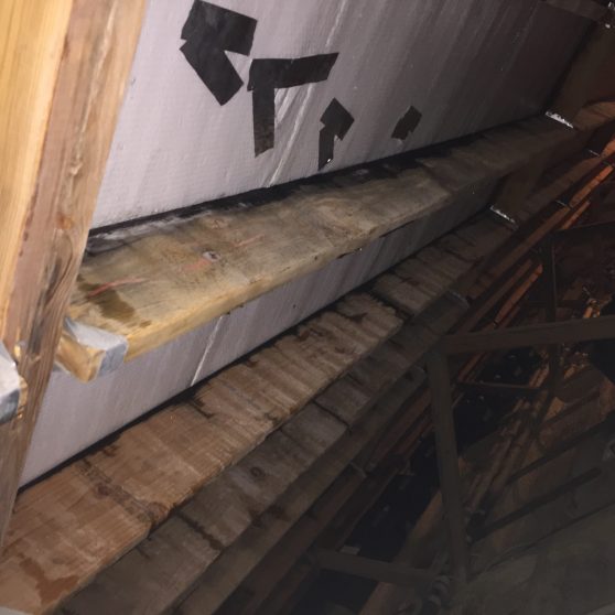 Mold in a Post Frame Building Attic - Hansen Buildings