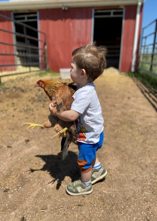 Childcare Buildings & Daycare Pole Buildings | Hansen Pole Buildings