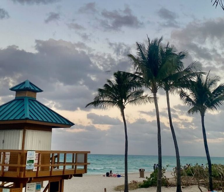 Florida Approved Wall Panels, Drip Stop Metal Roofing, and Widest ...